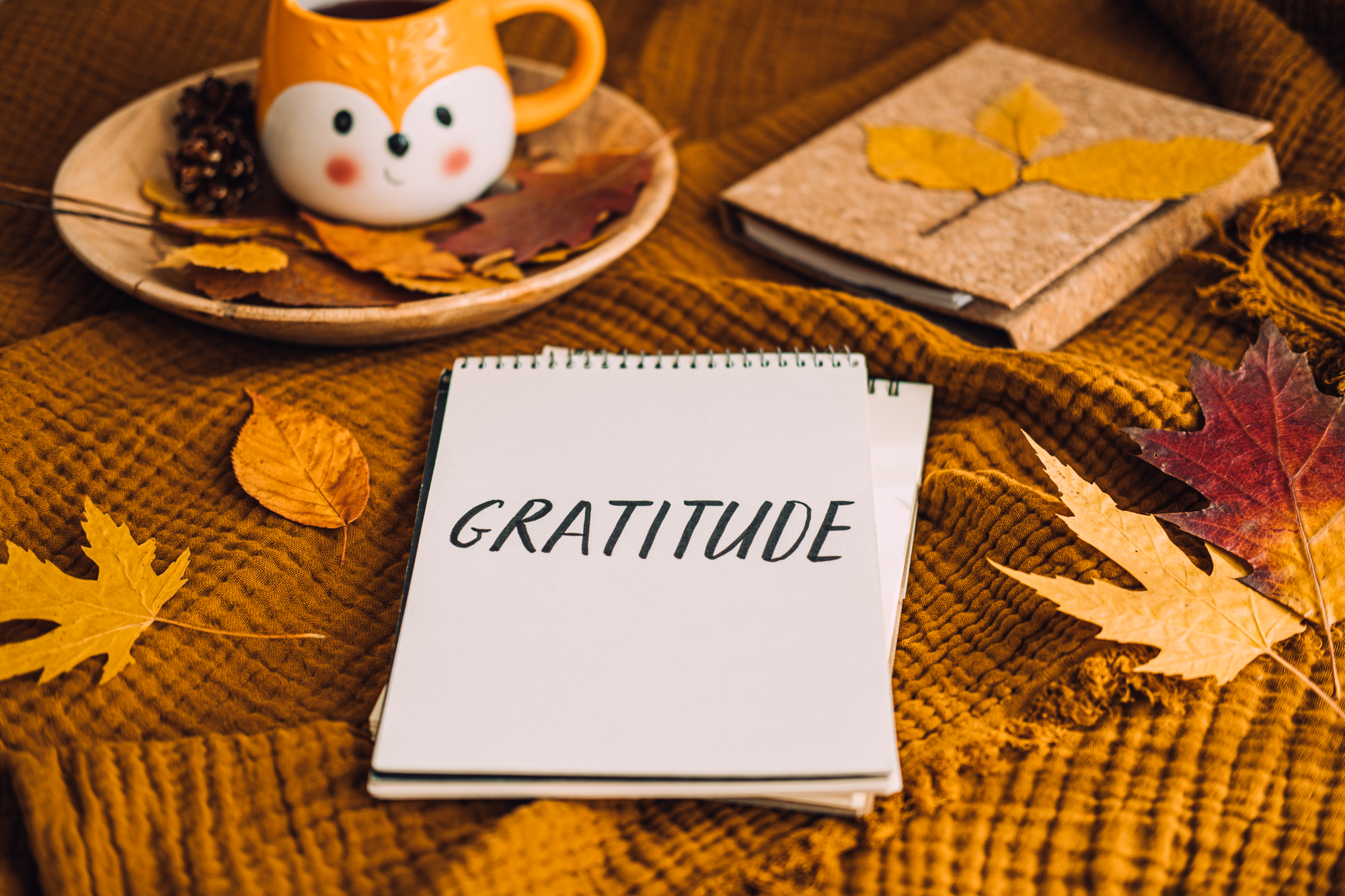 Why Gratitude? | Sentier Psychotherapy