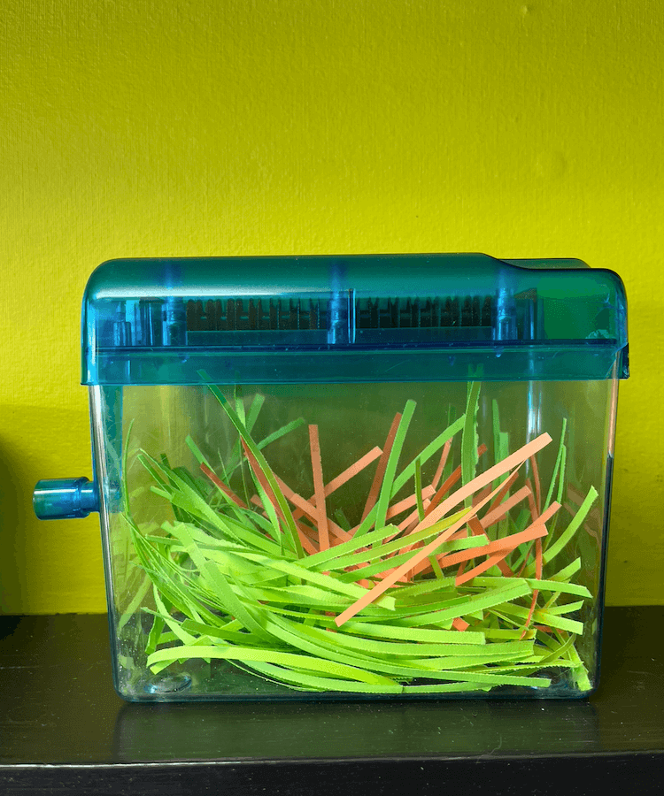 I Spy In Sentier's Office... | Sentier Psychotherapy